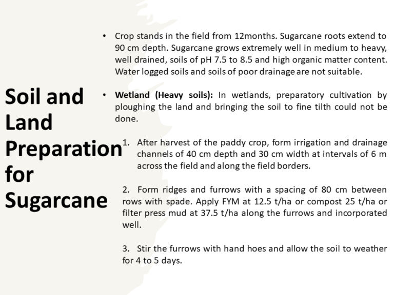 Soil and Land Preparation for Sugarcane