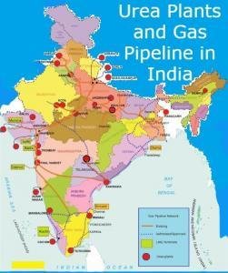 Fertilizer Companies in India